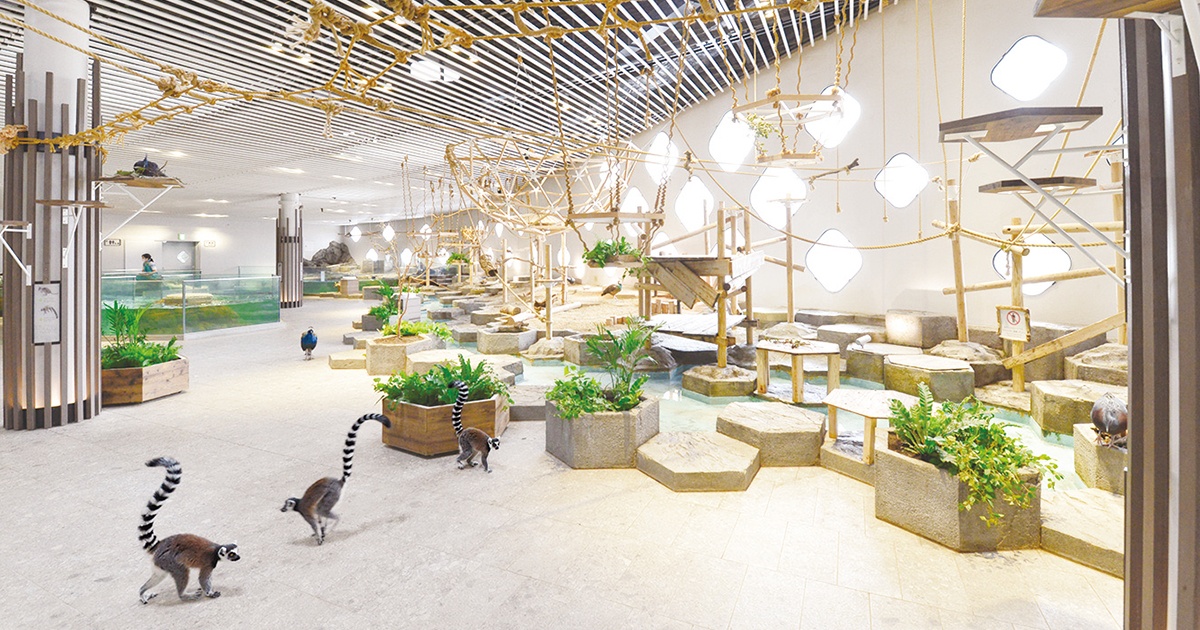 生きものの魅力を体で感じる！「生きているミュージアム NIFREL（ニフレル）」【大阪】｜おでかけ｜観光・おでかけ情報｜京阪グループ