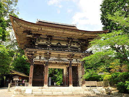 Sightseeing Along the Otsu Line | Keihan Electric Railway